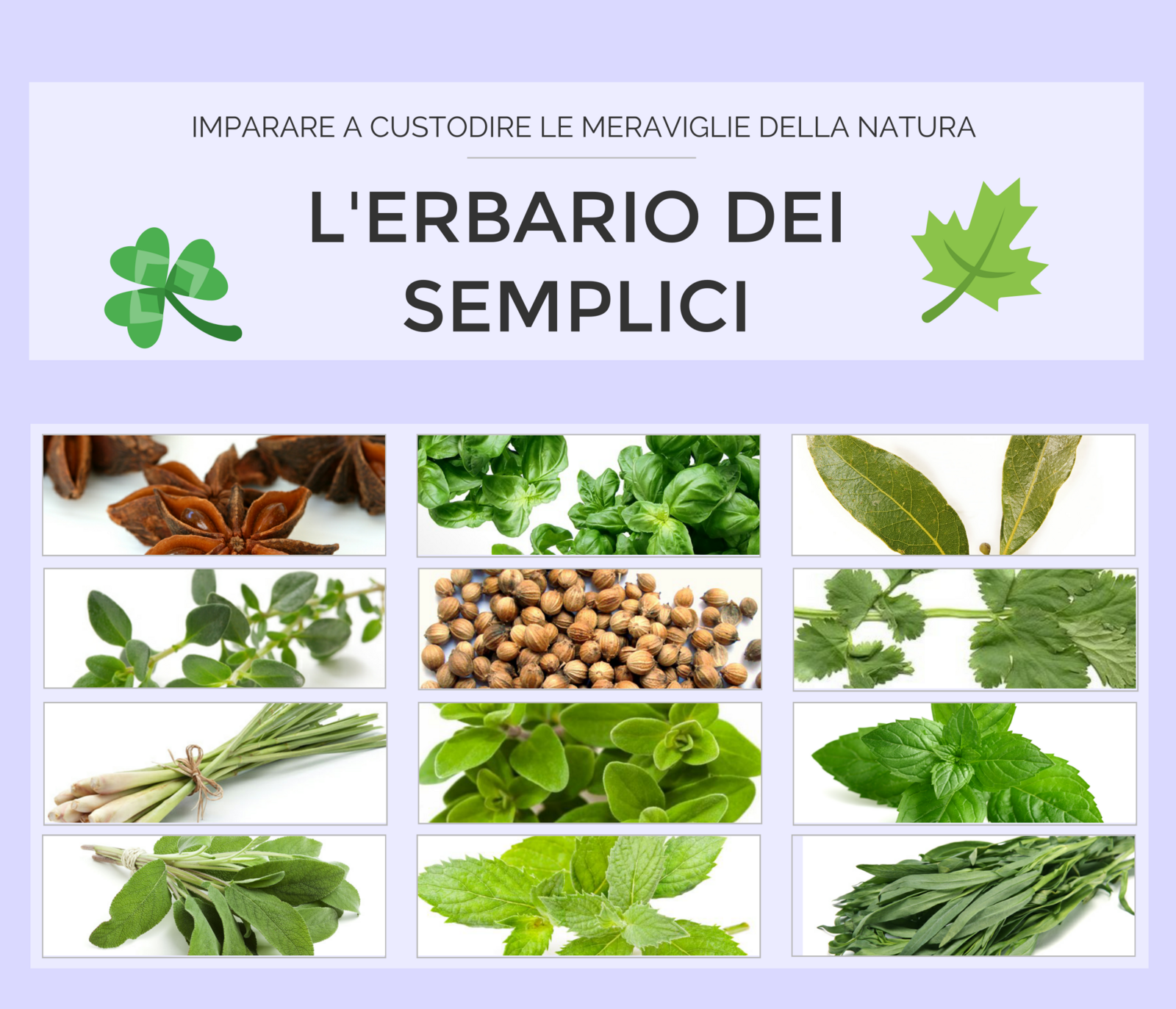 L'Erbario dei Semplici